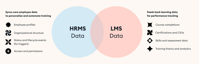 HRMS vs LMS: Which One Does Your Business Actually Need?